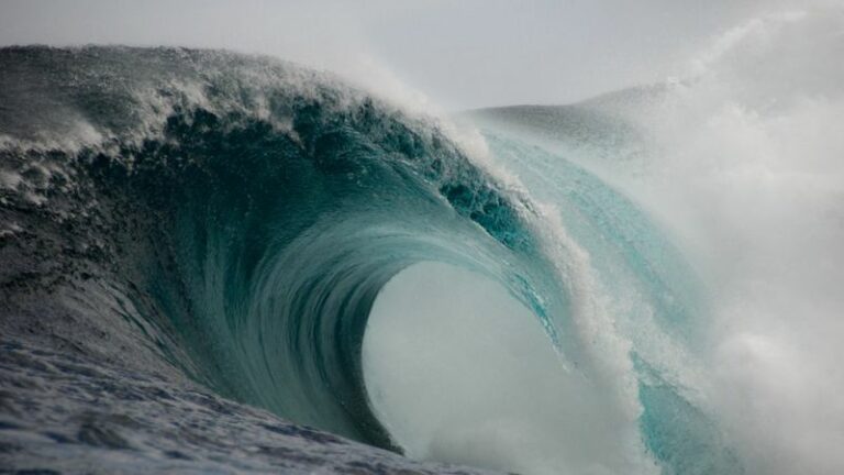 Las marcas de un tsunami revelan la devastación causada por el ...